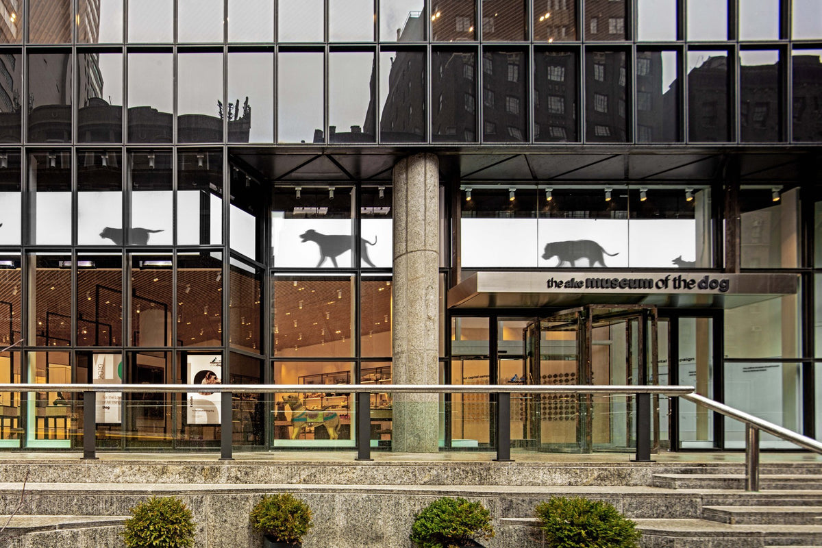 American Kennel Club Museum of the Dog Display Shelving – USM Modular ...